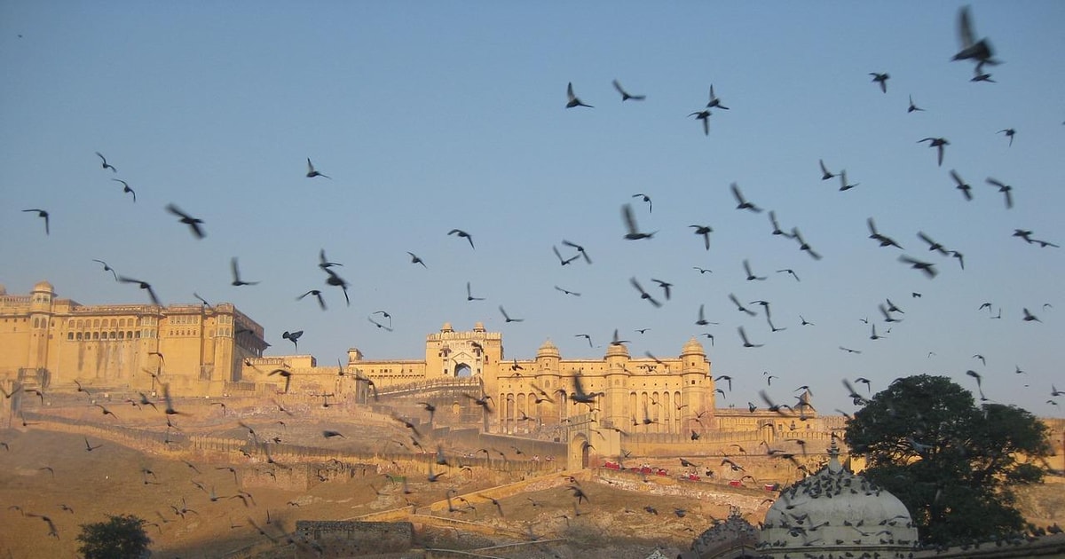 From Delhi - Jaipur Pink City & Amer Fort Tour By Car | GetYourGuide