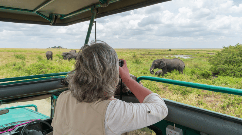 Full-Day Addo Elephant National Park All Inclusive Safari | GetYourGuide