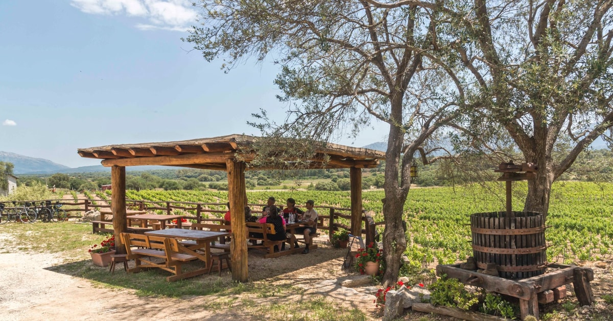 Sardinien: Dorgali vingårdstur med smagning og lokal guide | GetYourGuide