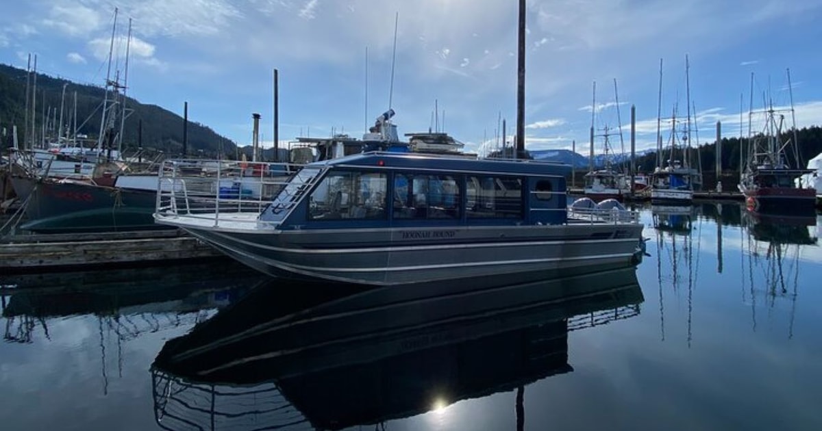 Hoonah: Whale Watching Cruise | GetYourGuide