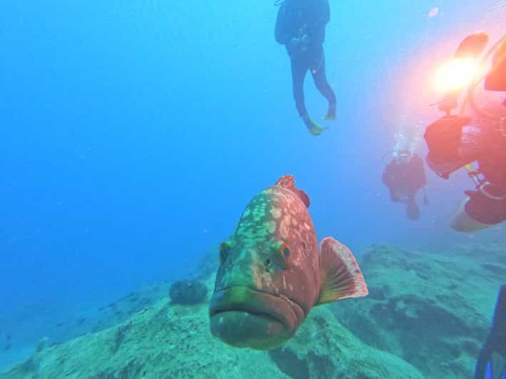 Kas: Scuba Diving Experience | GetYourGuide