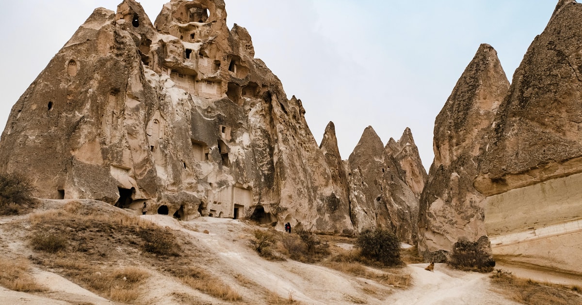 Official Guided Tour with Private Van | GetYourGuide