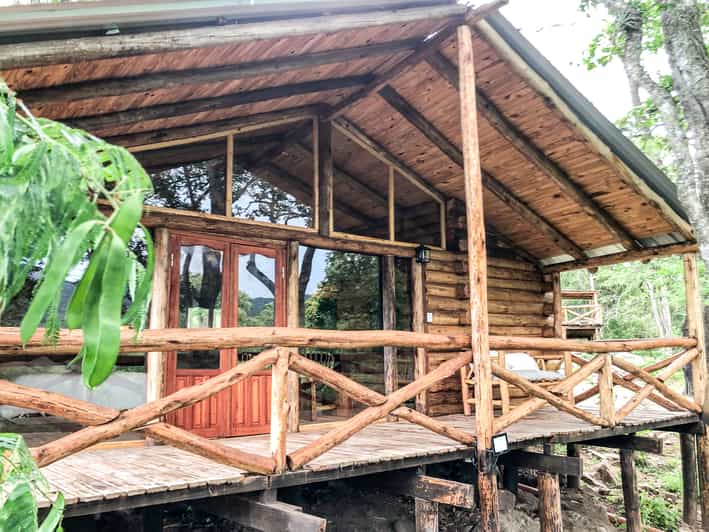 Descubre la selva de los Yungas : cabalgata con asado | GetYourGuide