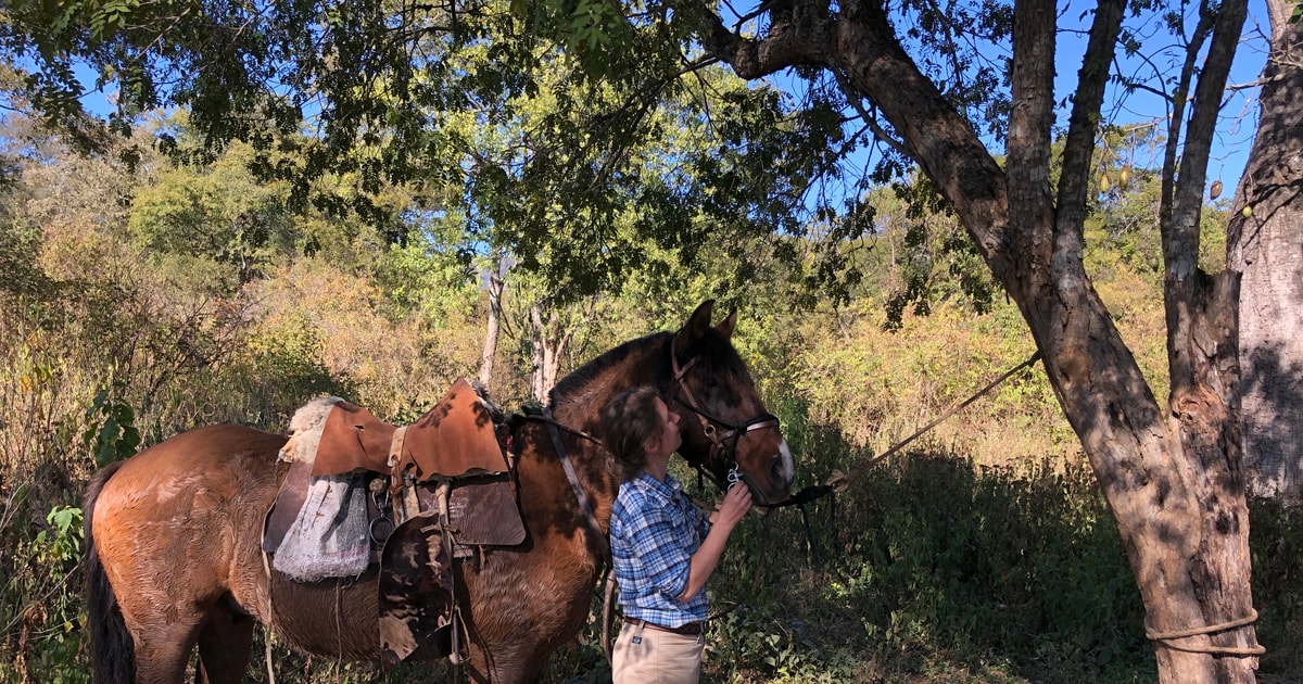 Discover the jungle of Yungas : horseback riding with asado | GetYourGuide