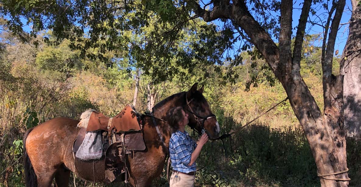 Discover the jungle of Yungas : horseback riding with asado | GetYourGuide
