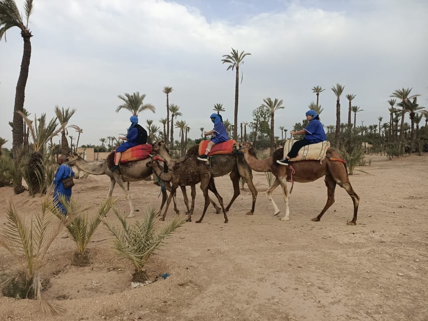Camel Ride in the Palm Grove of Marrakech | GetYourGuide