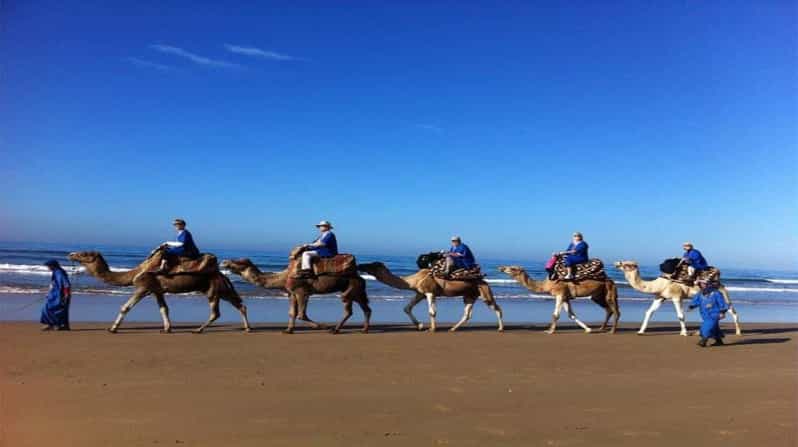 Agadir or taghazout : Camel or hourse riding with barbecue | GetYourGuide