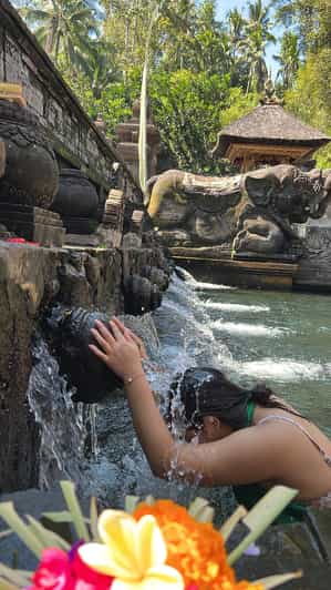Ubud Sightseeing, Holy Water Temple& Waterfall | GetYourGuide