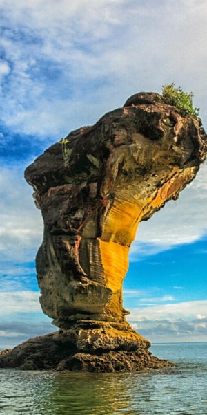 Bako National Park | GetYourGuide