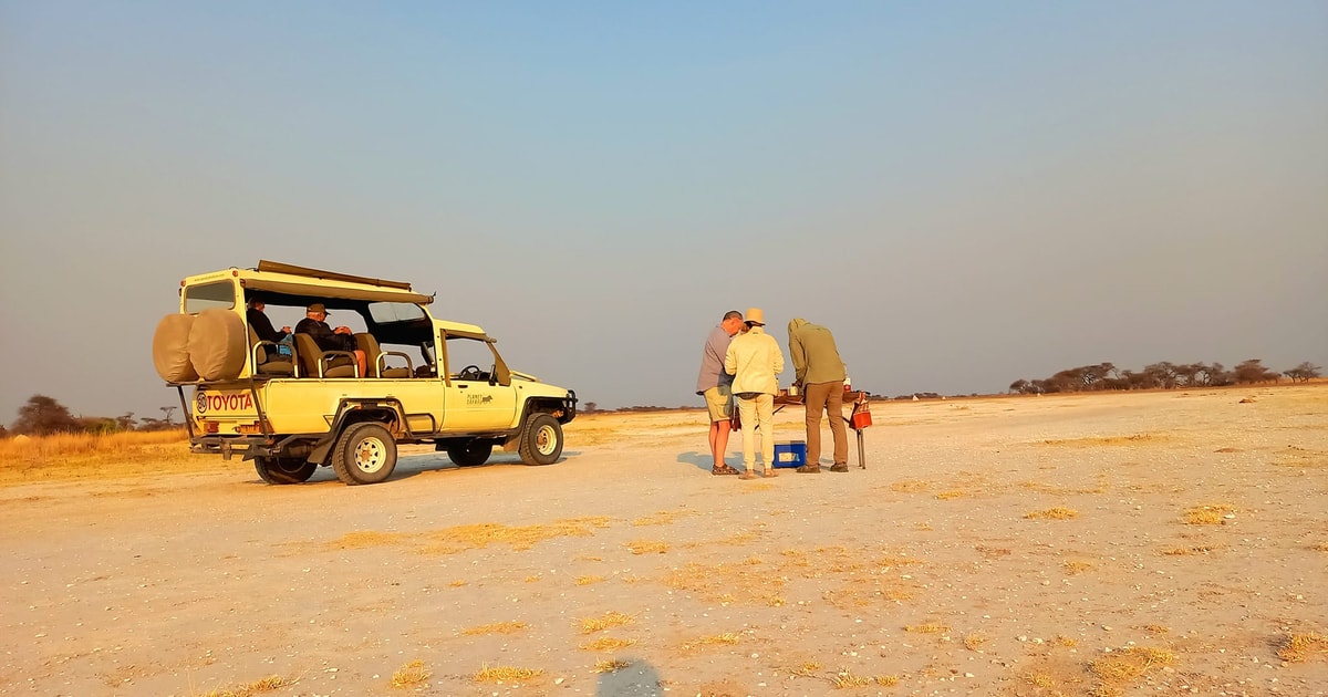 2 Day Tour Okavango Delta 1 Night Camping Bushwalk Canoeing | GetYourGuide
