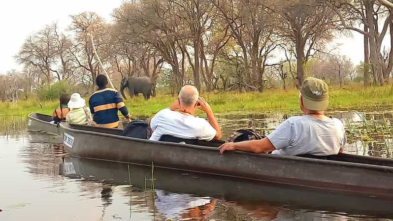 2 Day Tour Okavango Delta 1 Night Camping Bushwalk Canoeing | GetYourGuide