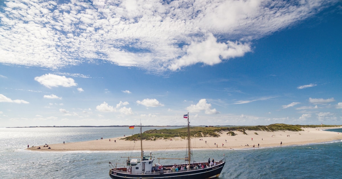 Von List: Bootsfahrt zum Makrelenfischen rund um Sylt | GetYourGuide