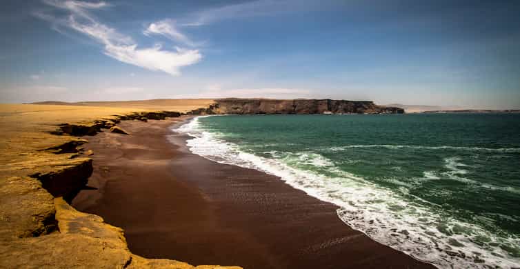 Paracas: Paracas National Reserve Half Day Tour | GetYourGuide