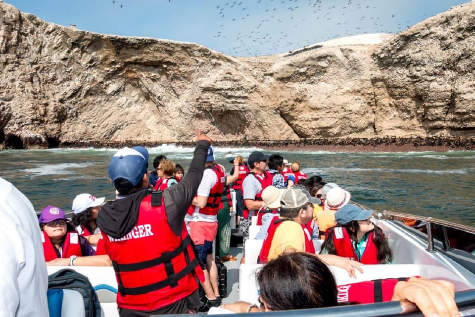 From San Martin Port: Ballestas Islands Tour in Paracas | GetYourGuide