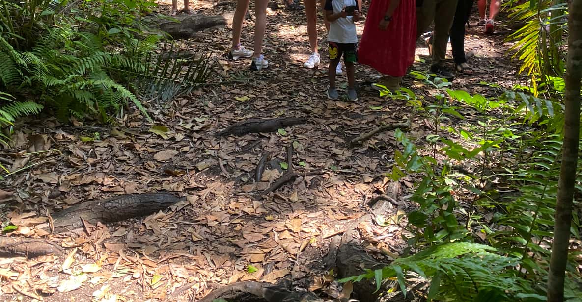Exploring The Zanzibar Nature Full Day Trip | GetYourGuide