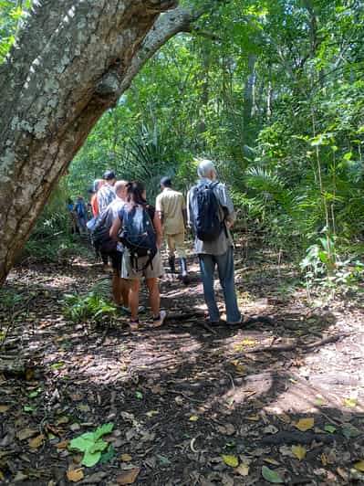 Exploring The Zanzibar Nature Full Day Trip | GetYourGuide
