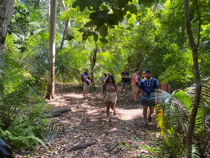 Exploring The Zanzibar Nature Full Day Trip | GetYourGuide