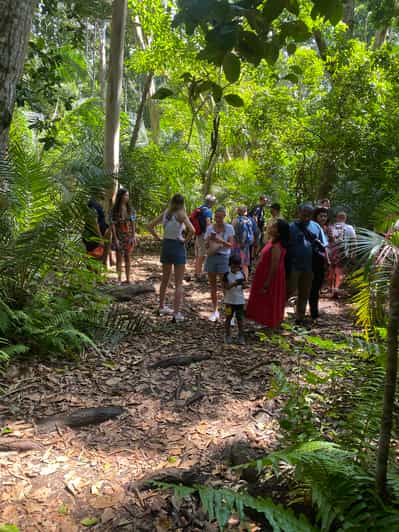 Exploring The Zanzibar Nature Full Day Trip | GetYourGuide
