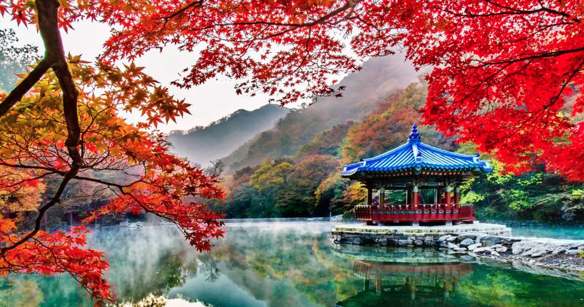 From Seoul : Naejangsan National Park Autumn Day Trip | GetYourGuide
