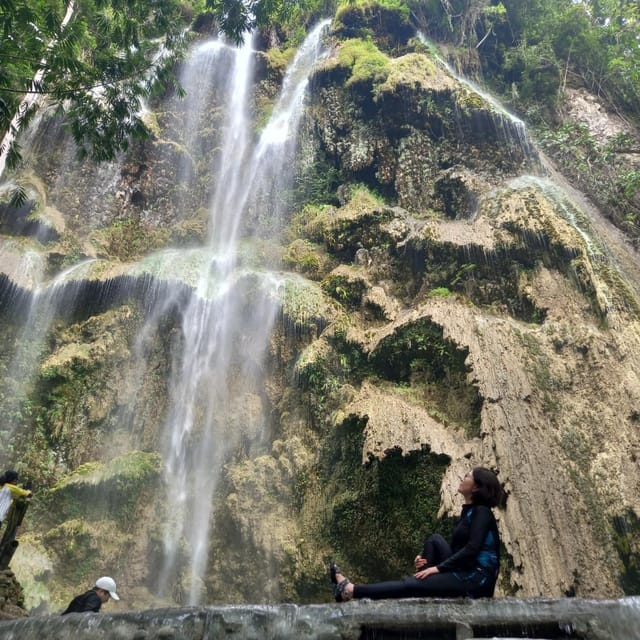 Whale watching and Tumalog Falls: Korean Guide | GetYourGuide
