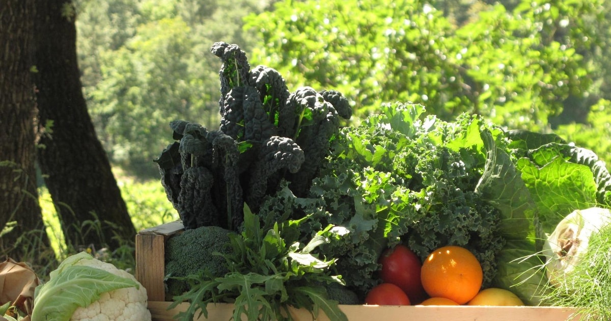 Traditional Cooking Class & Farm Tour in the Douro Valley | GetYourGuide