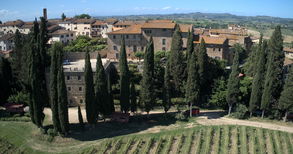 Organic Wine and Food Tasting at Fattoria Majnoni | GetYourGuide