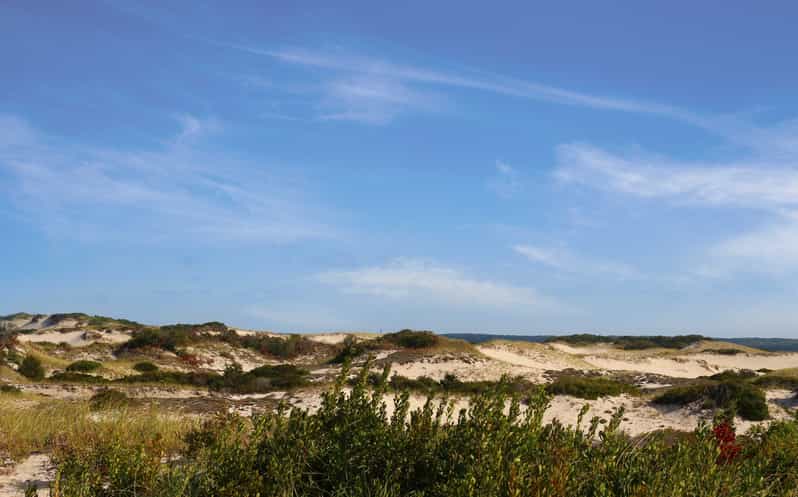 From Boston: Full-Day Tour of Cape Cod | GetYourGuide