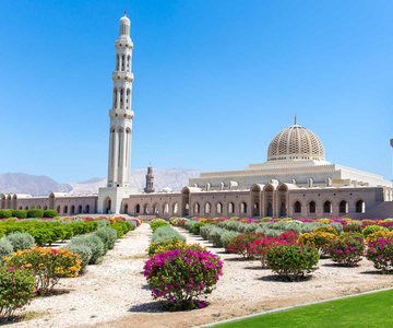 The BEST Muscat Tours and Things to Do in 2024 - FREE Cancellation ...