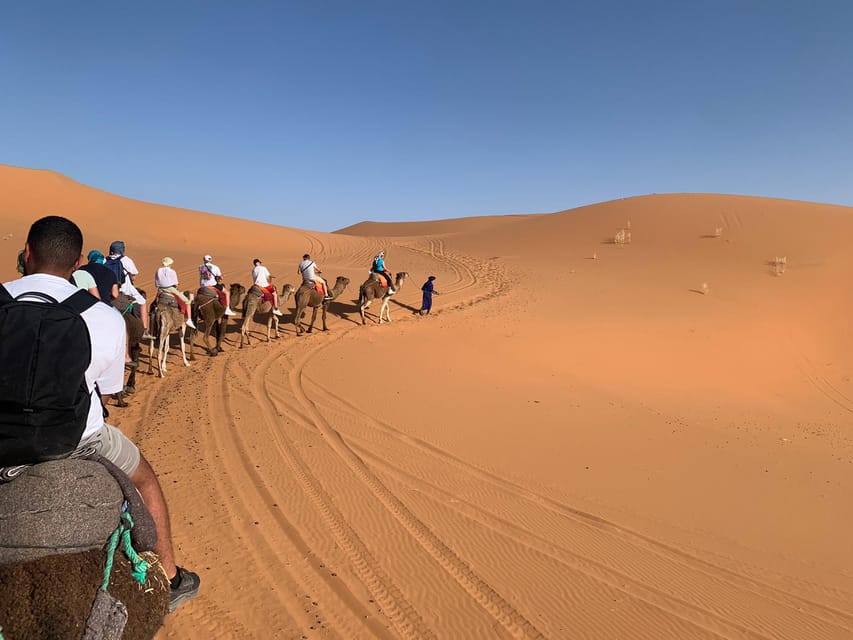 Merzouga: Overnight Camel Trek with Sandboarding | GetYourGuide