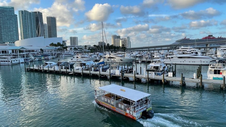 Miami Tour - South Beach, Design District & Wynwood Walls | GetYourGuide