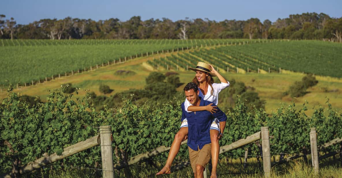 Hunter Valley: Wine Tour with 3 Tastings and Garden Lunch | GetYourGuide