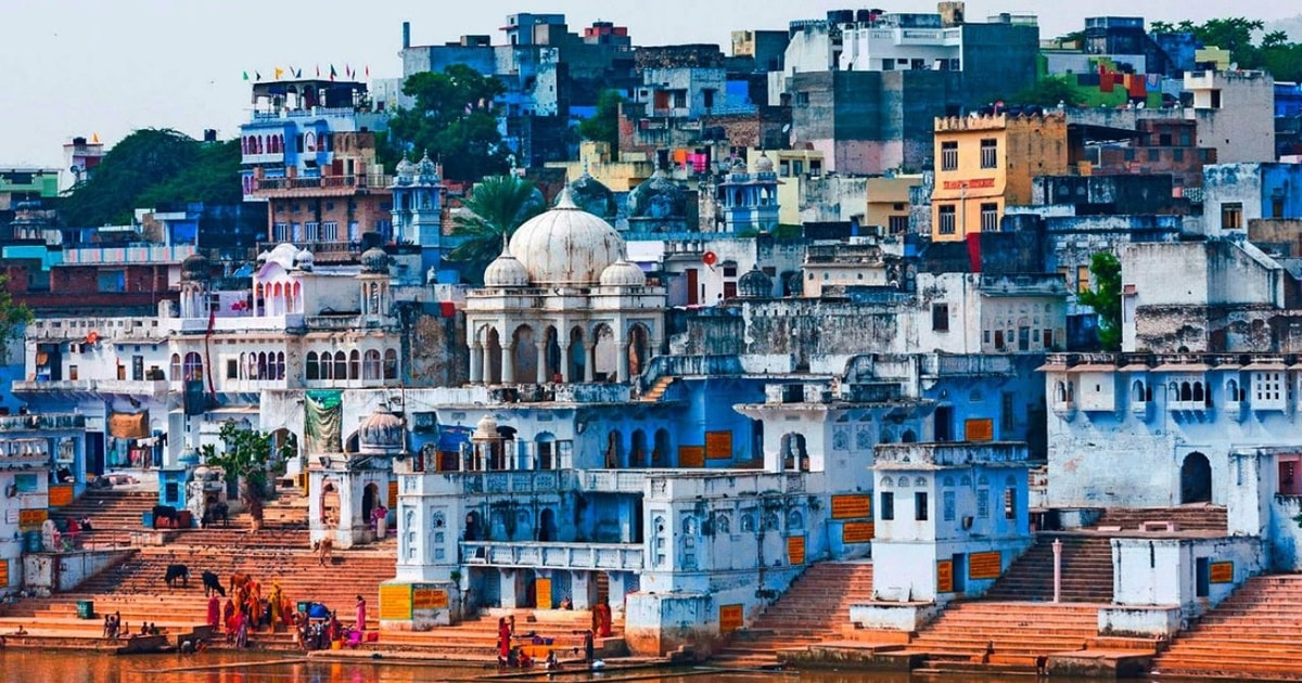 From Delhi: Jaipur Pushkar & Ranthambore Tour | GetYourGuide