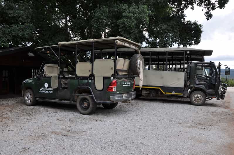 Full-Day Addo Elephant National Park All Inclusive Safari | GetYourGuide