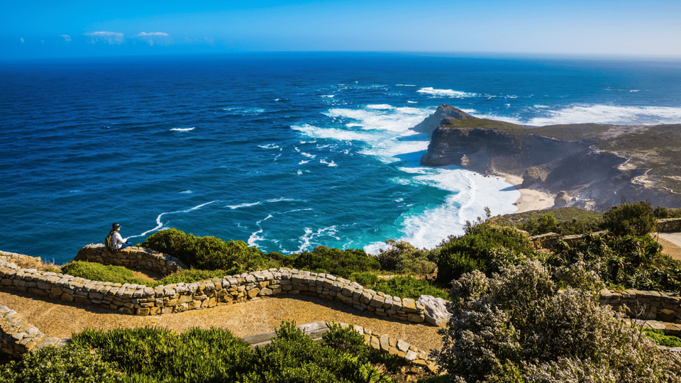 Cape Town Shore Excursion: Table Mountain & Cape Point Tour | GetYourGuide