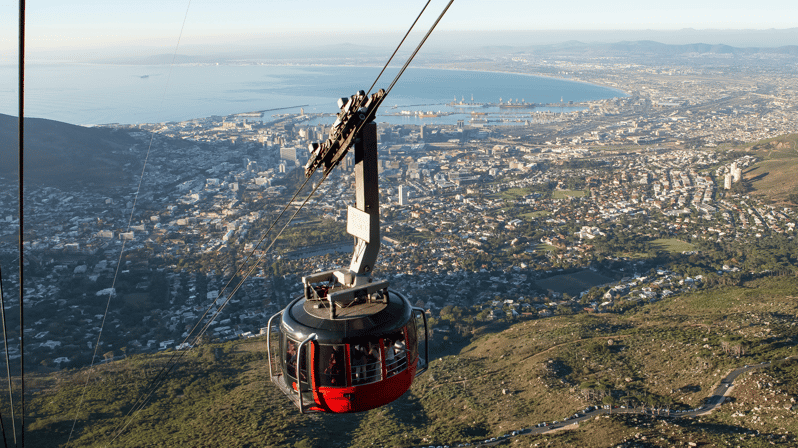 Cape Town Shore Excursion: Table Mountain & Cape Point Tour | GetYourGuide