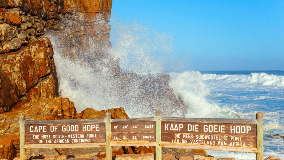 Cape Town Shore Excursion: Table Mountain & Cape Point Tour | GetYourGuide