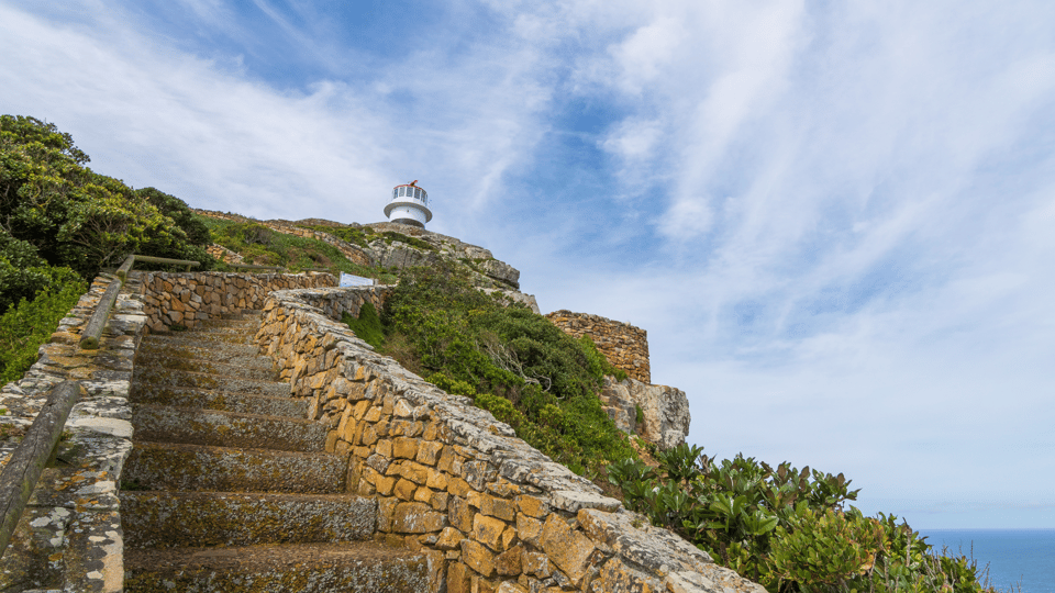 Cape Town Shore Excursion: Table Mountain & Cape Point Tour | GetYourGuide