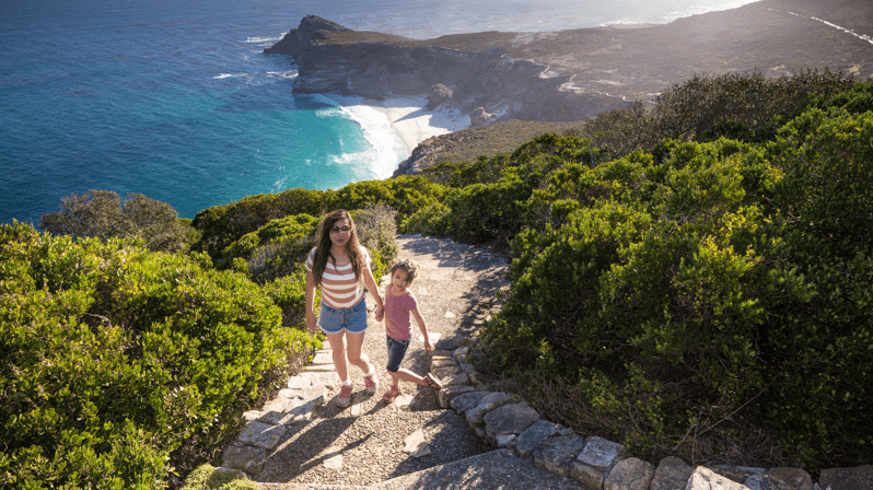 Cape Town Shore Excursion: Table Mountain & Cape Point Tour | GetYourGuide