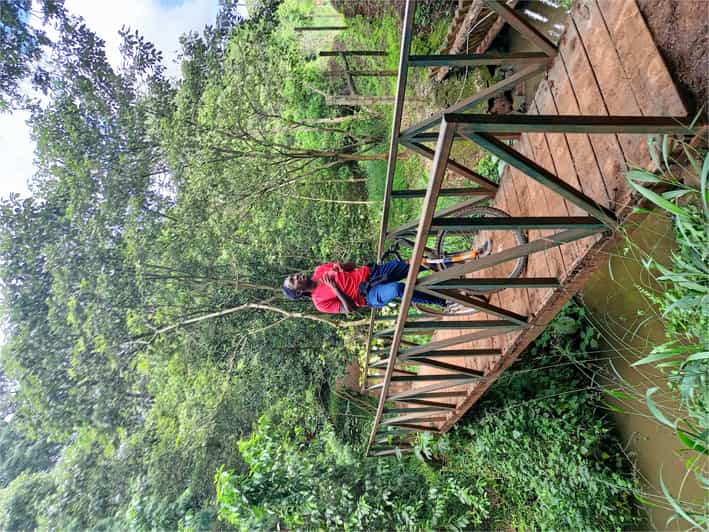 Karura Forest Nairobi | GetYourGuide