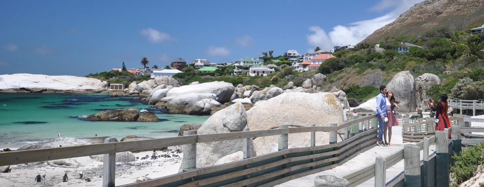 Cape Town Shore Excursion: Table Mountain & Cape Point Tour | GetYourGuide