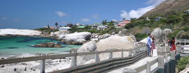 Cape Town Shore Excursion: Table Mountain & Cape Point Tour | GetYourGuide