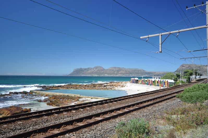Cape Town Shore Excursion: Table Mountain & Cape Point Tour | GetYourGuide