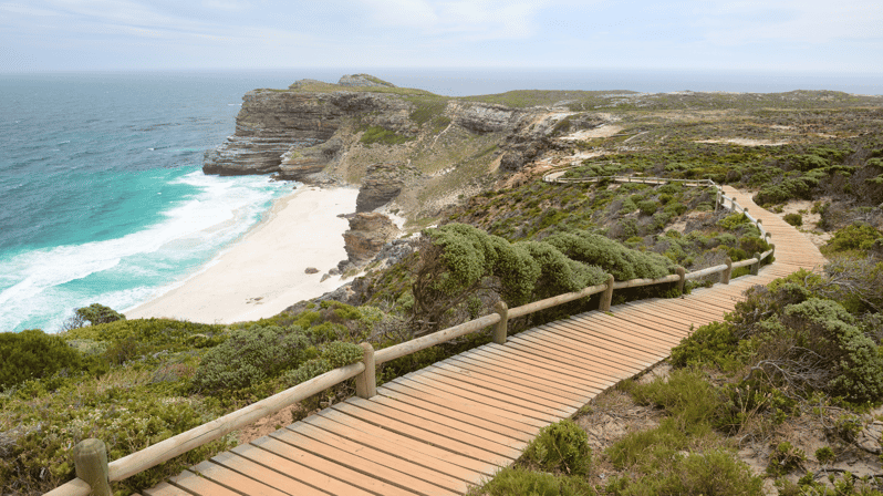 Cape Town Shore Excursion: Table Mountain & Cape Point Tour | GetYourGuide