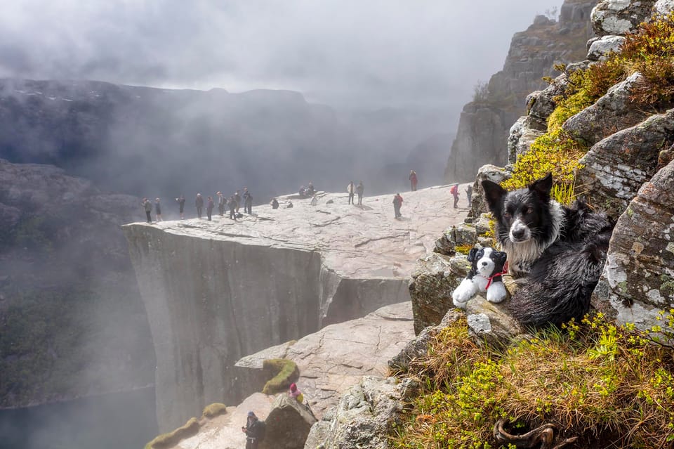 Stavanger: Preikestolen Classic Hike and Side Trail | GetYourGuide