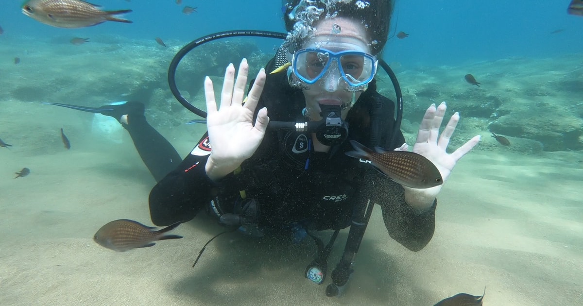 Heraklion: Intro Dive for beginners with a Padi Instructor | GetYourGuide