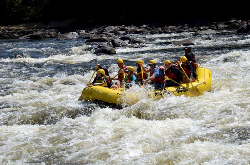 Mont-Tremblant: Full day of Rouge River White Water Rafting | GetYourGuide