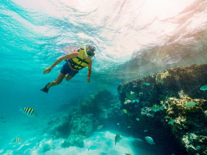 CATAMARAN SWIM ADVENTURE | GetYourGuide
