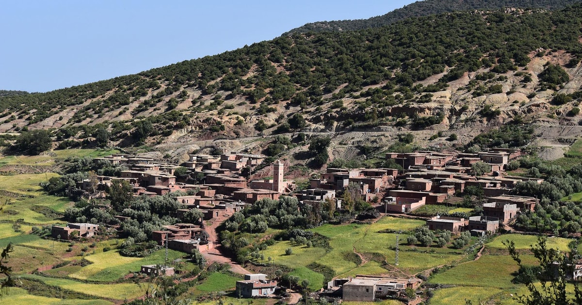 Desde Fez: Excursión de un día a Mequinez, Volubilis y Moulay Idriss ...