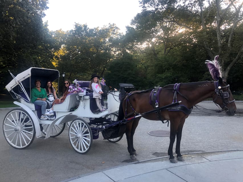 New York: Carriage Ride in Central Park | GetYourGuide