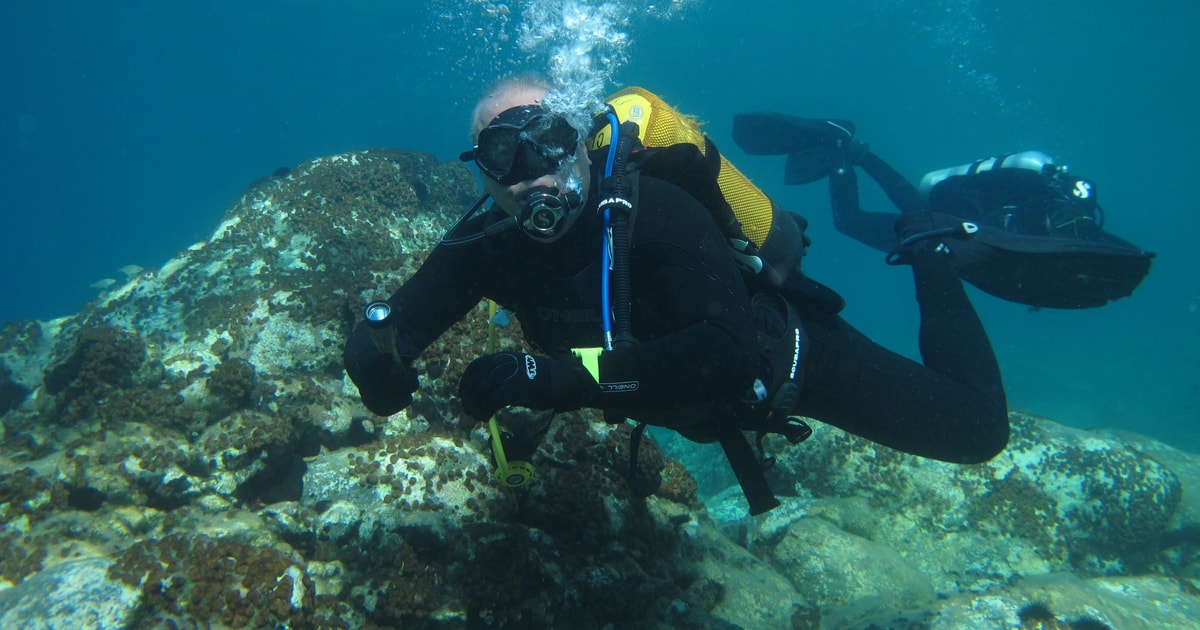 Halkidiki:Diving for certified divers in Kassandra | GetYourGuide